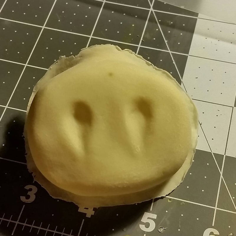 Prosthetic Pig Nose - Etsy