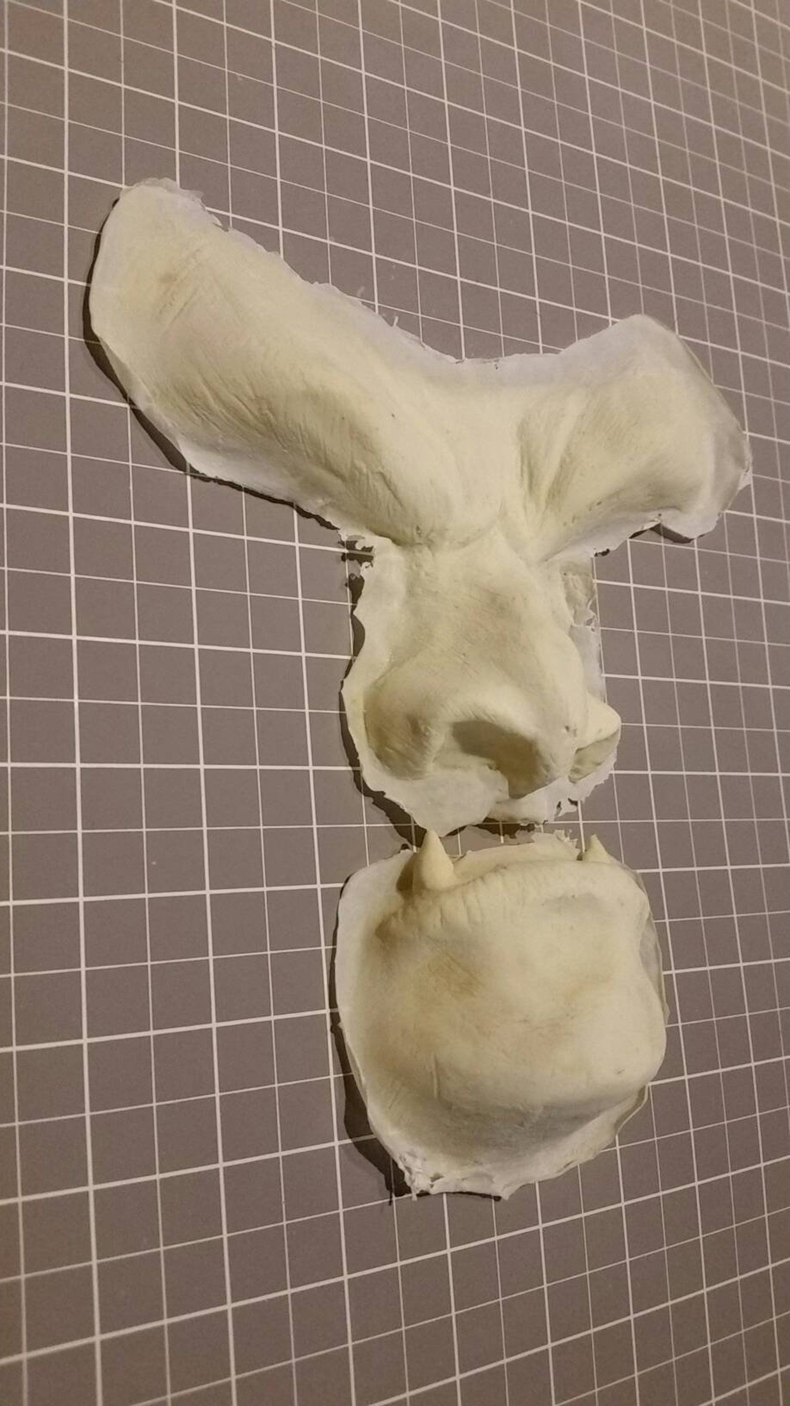 Beast Face Prosthetics (slip Latex) - Etsy