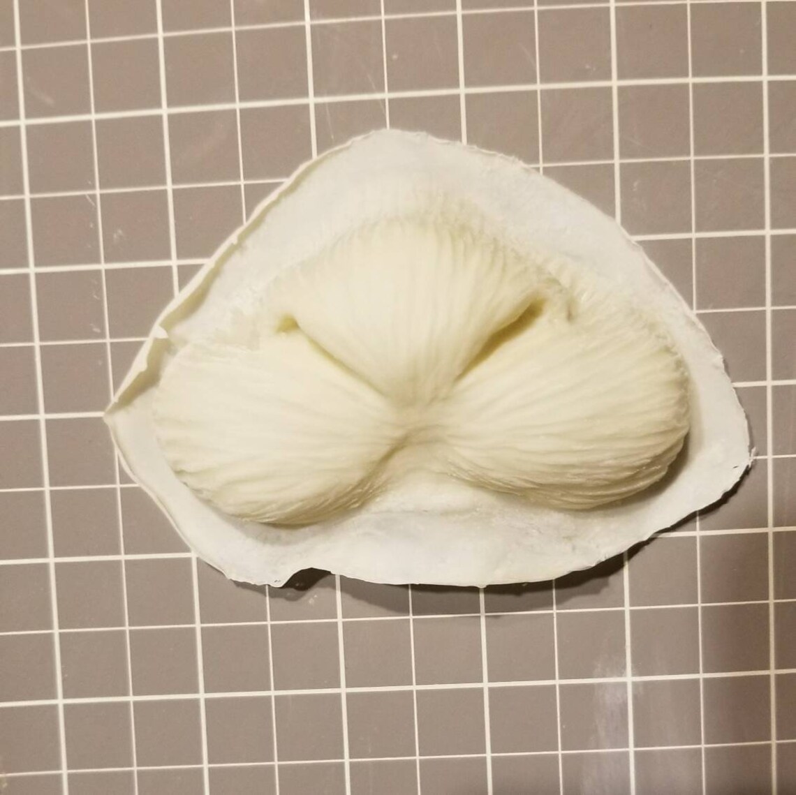 Rabbit Prosthetic (slip Latex) - Etsy