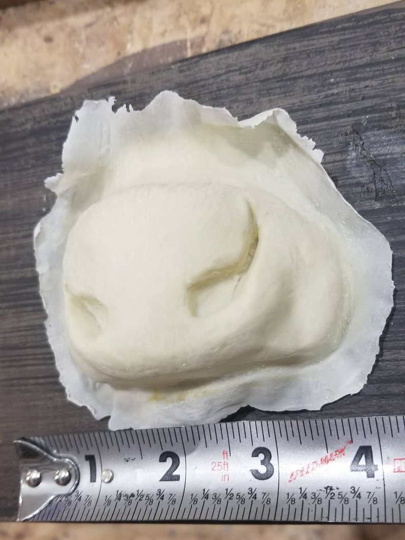 Cow Nose Prosthetic slip Latex | Etsy