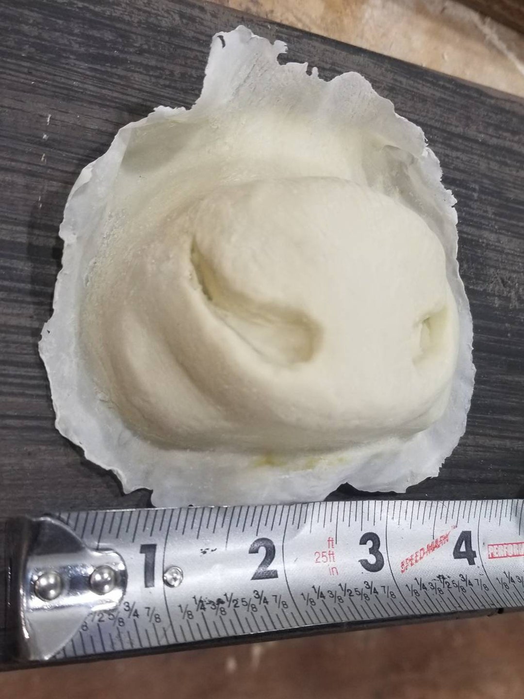 Cow Nose Prosthetic (slip Latex) - Etsy