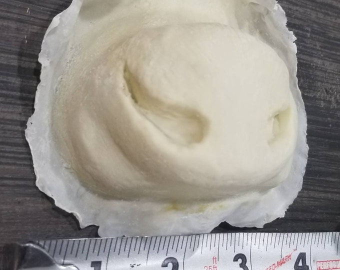 Cow Nose Prosthetic (slip Latex) - Etsy