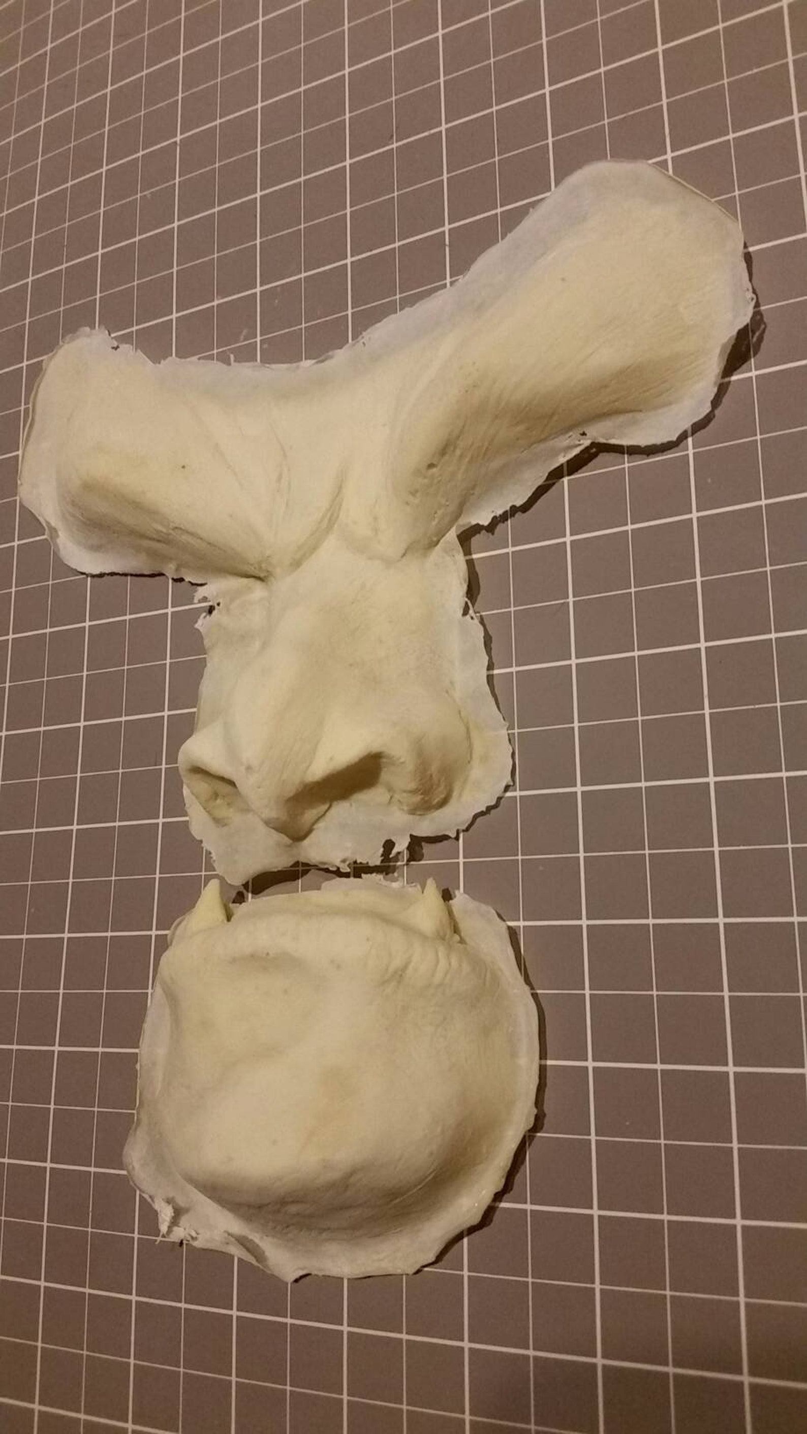 Beast Face Prosthetics (slip Latex) - Etsy