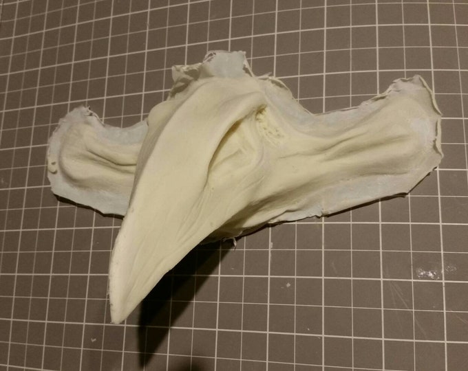 Bird Bone Beak Prosthetic (slip Latex) - Etsy