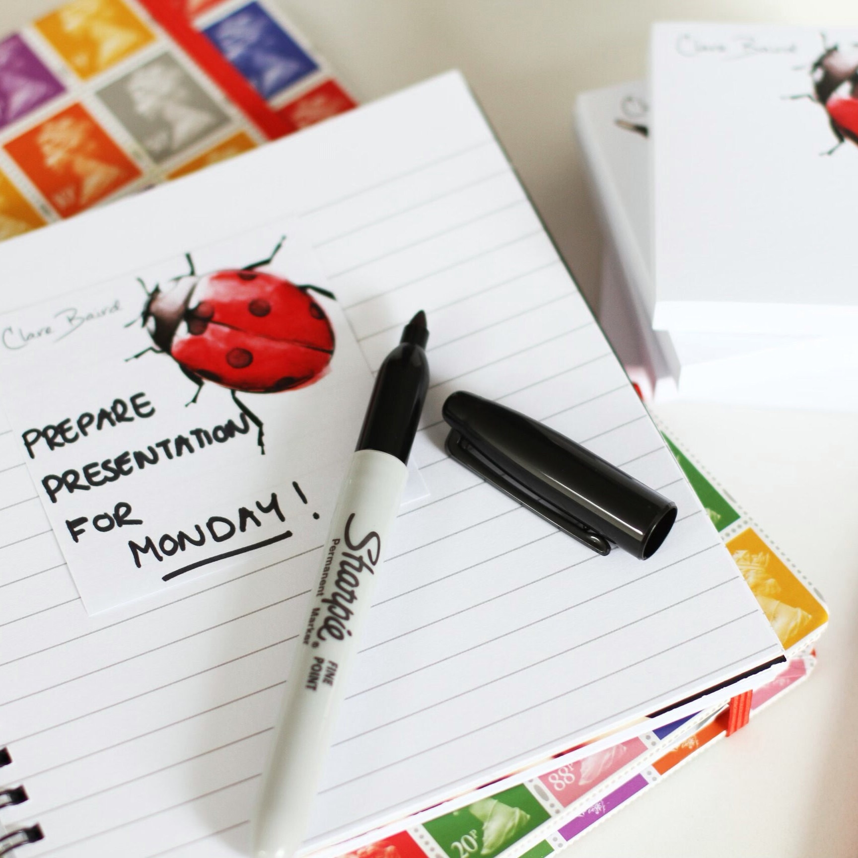 STICKY NOTES Ladybird Stick-it Note Pads Stocking Fillers - Etsy