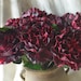 Dark Burgundy Peonies, Real Touch PU Flowers, DIY Silk Wedding, Bridal ...
