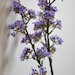Silk Small Purple Flowers Purple Fillers Faux Small Purple Flowers ...