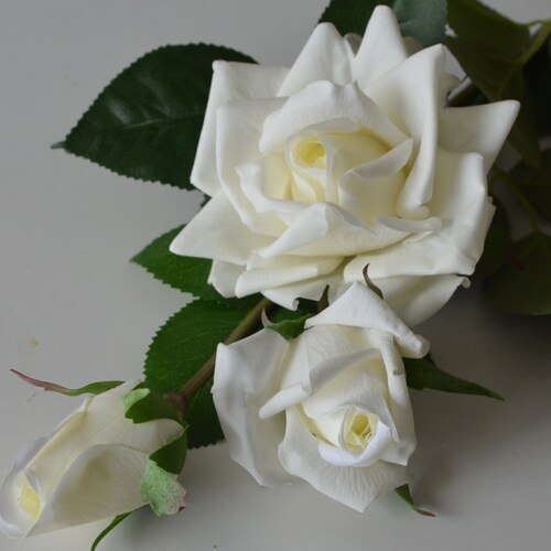 Ivory Cream Roses Real Touch Silk Latex Roses Wedding Flowers | Etsy