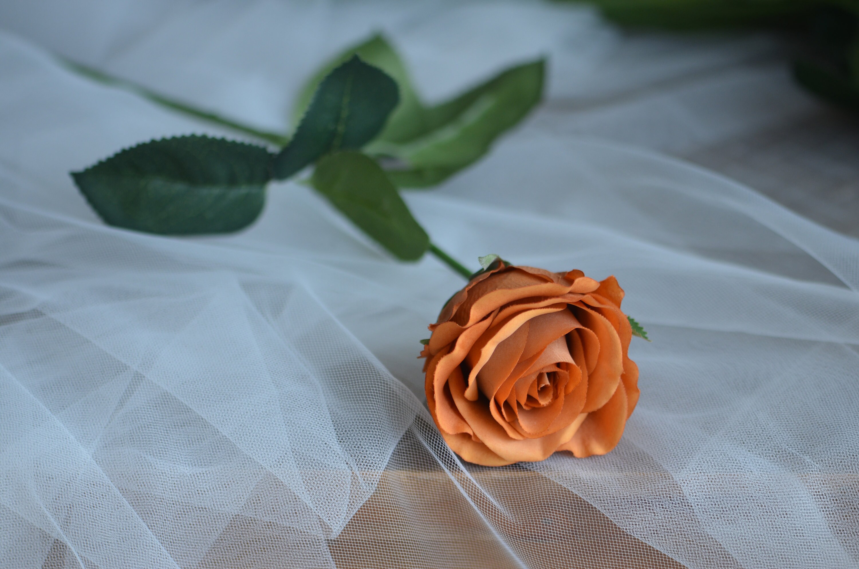 25" Burnt Orange Real Touch Faux Roses, DIY Florals Supply | Wedding ...