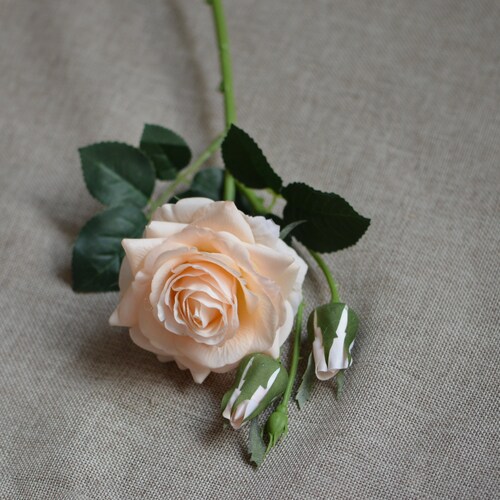 Real Touch Light Blush Roses Buds Silk Roses DIY Wedding - Etsy