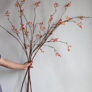 55" Faux Orange Berry Branch Stem, Decorative Plant Stem, Minimalist ...