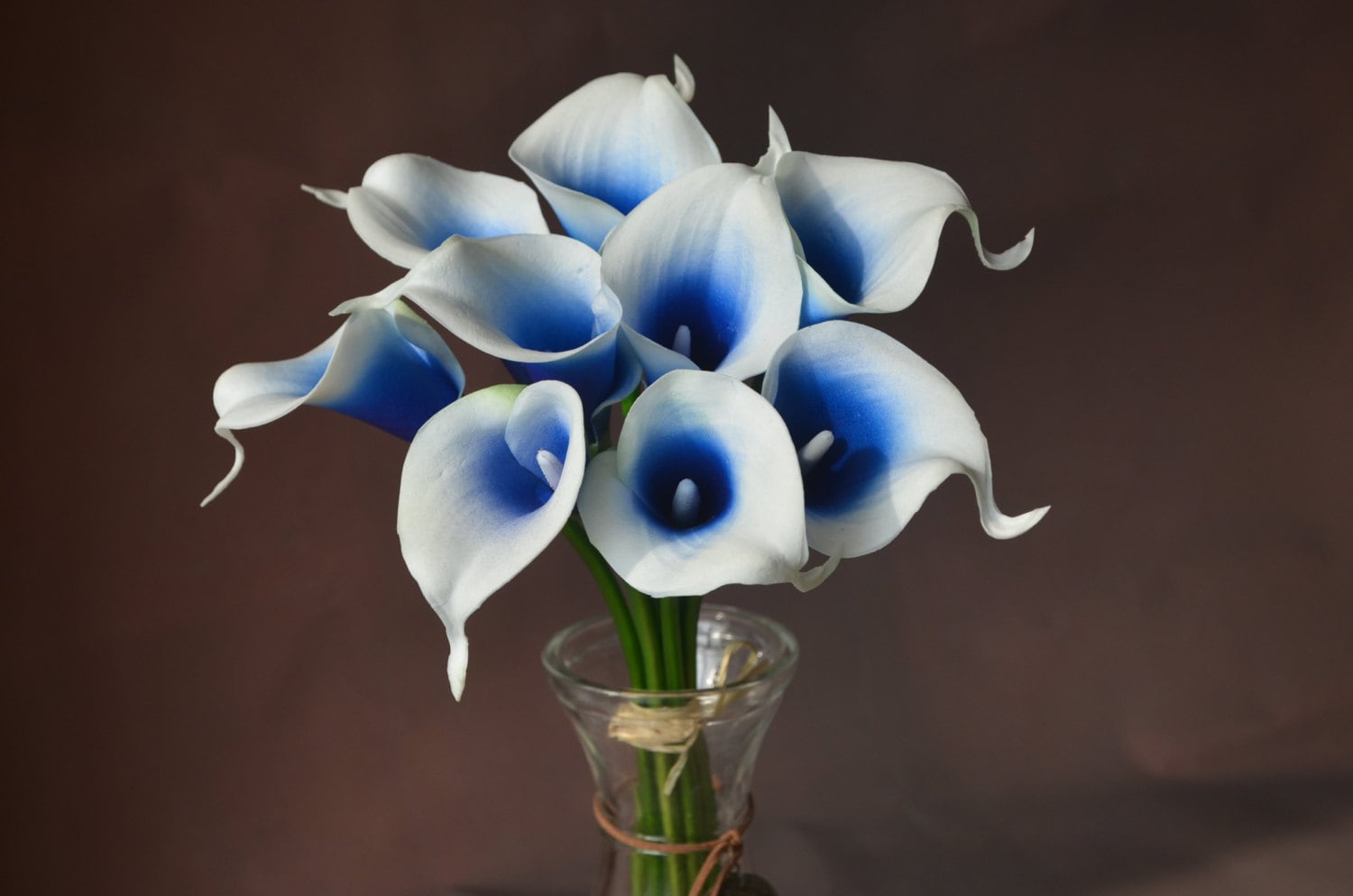 Royal Blue Picasso Calla Lilies Real Touch Flowers DIY Silk - Etsy