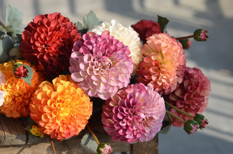 Gradient Colors Dahlia Artificial Dahlia Flowers Big Ivory - Etsy