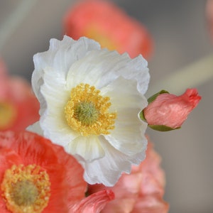 4 Heads 23.5" Artificial Poppy Flowers, Watermelon Red Fake Poppy Stem ...