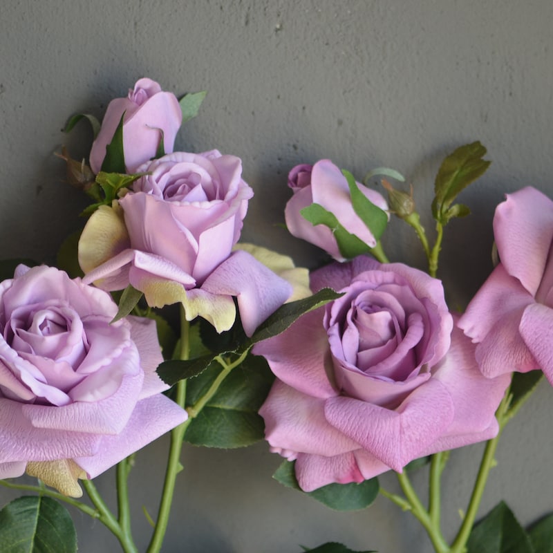 Lilac Rose - Etsy