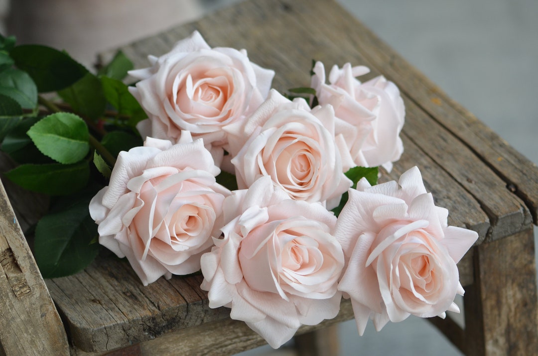 29.5 Soft Blush Pink Real Touch Roses High Quality - Etsy