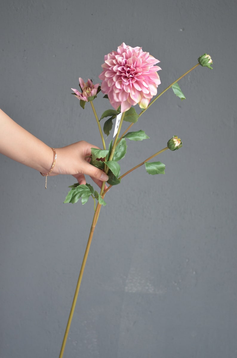 Dust Pink Ivory Faux Dahlia White Dahlia Flowers Gradient - Etsy