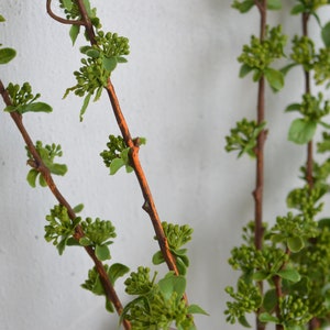 40" Artificial Green Budding Branch, Faux Spring Plant Stem ...