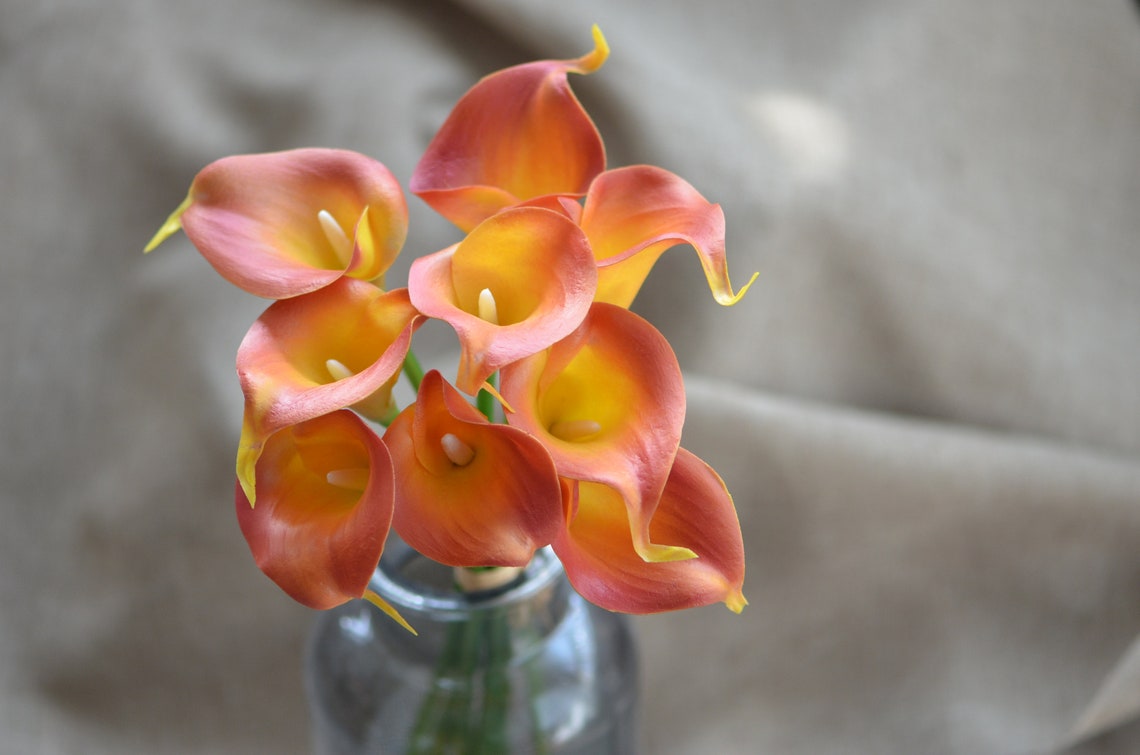 Autumn Orange Yellow Calla Lilies Natural Real Touch Calla - Etsy