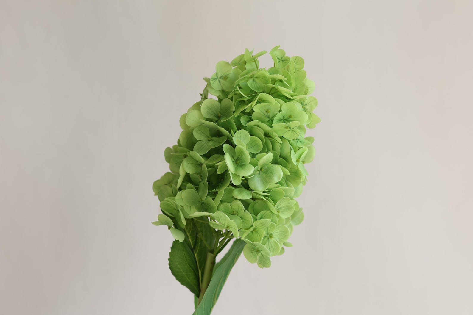 29" Faux Cone Hydrangea Real Touch Flowers Stem, Luxury Realistic ...