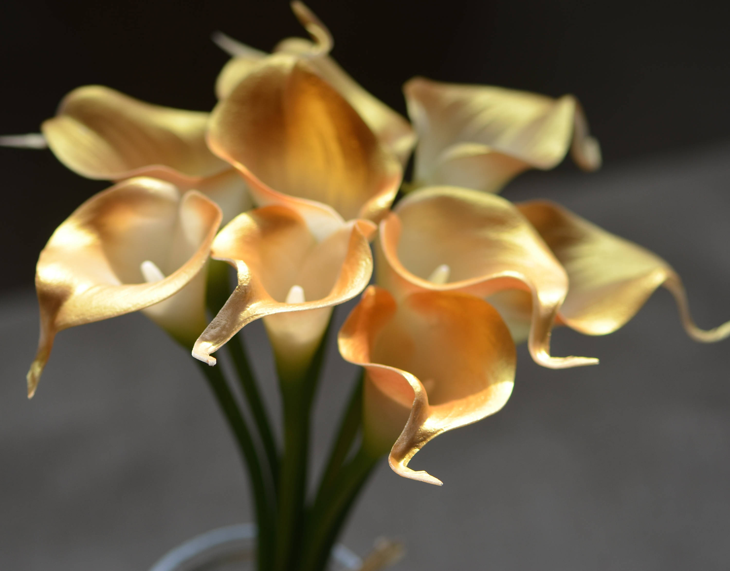 Light Gold Calla Lilies Real Touch Flowers DIY Wedding | Etsy