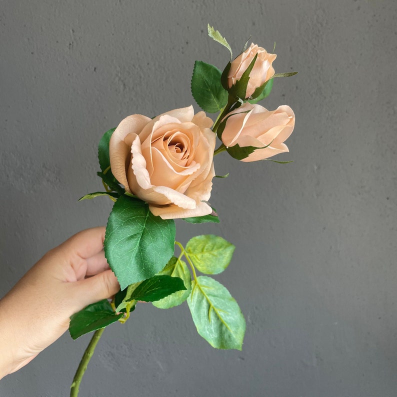 Tan Beige Real Touch Roses Artificial Vintage Special Roses - Etsy