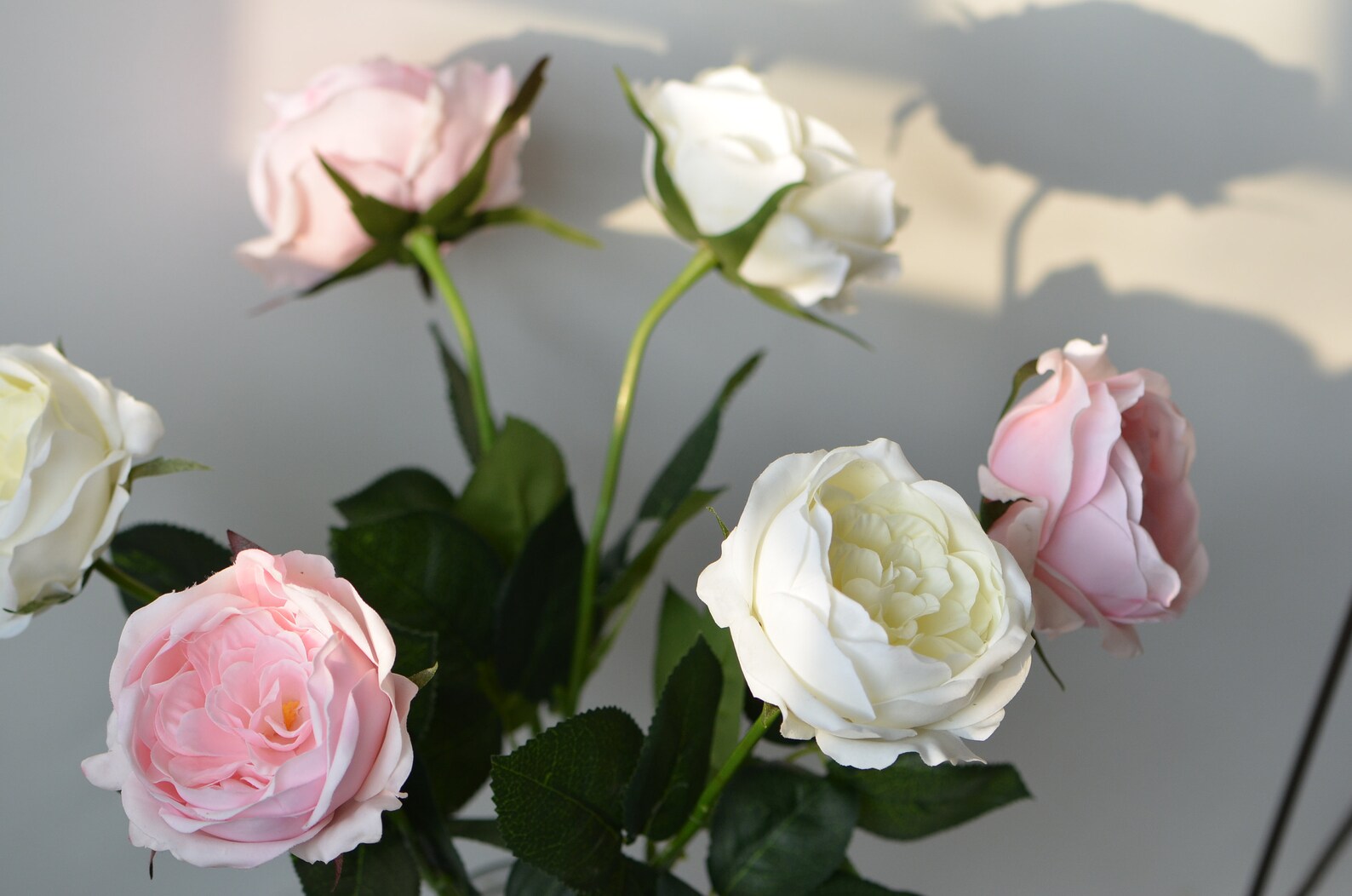 Ivory Pink Cabbage Roses Real Touch Roses DIY Silk Bridal | Etsy