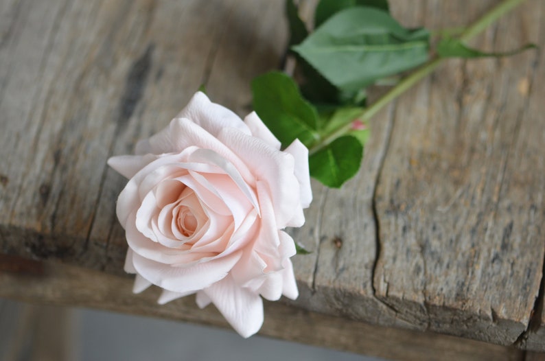 29.5 Soft Blush Pink Real Touch Roses High Quality - Etsy