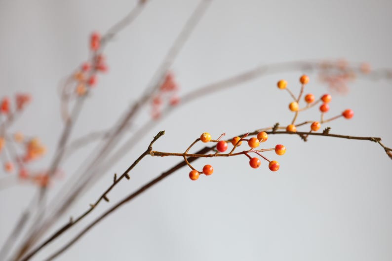 55" Faux Orange Berry Branch Stem, Decorative Plant Stem, Minimalist ...