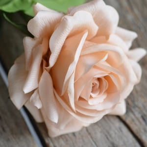 Morandi Pink Roses, Vintage Tan Beige Garden Roses, Real Touch Roses ...