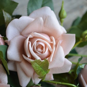 Tan Beige Real Touch Roses, Artificial Vintage Special Roses in Dusty ...