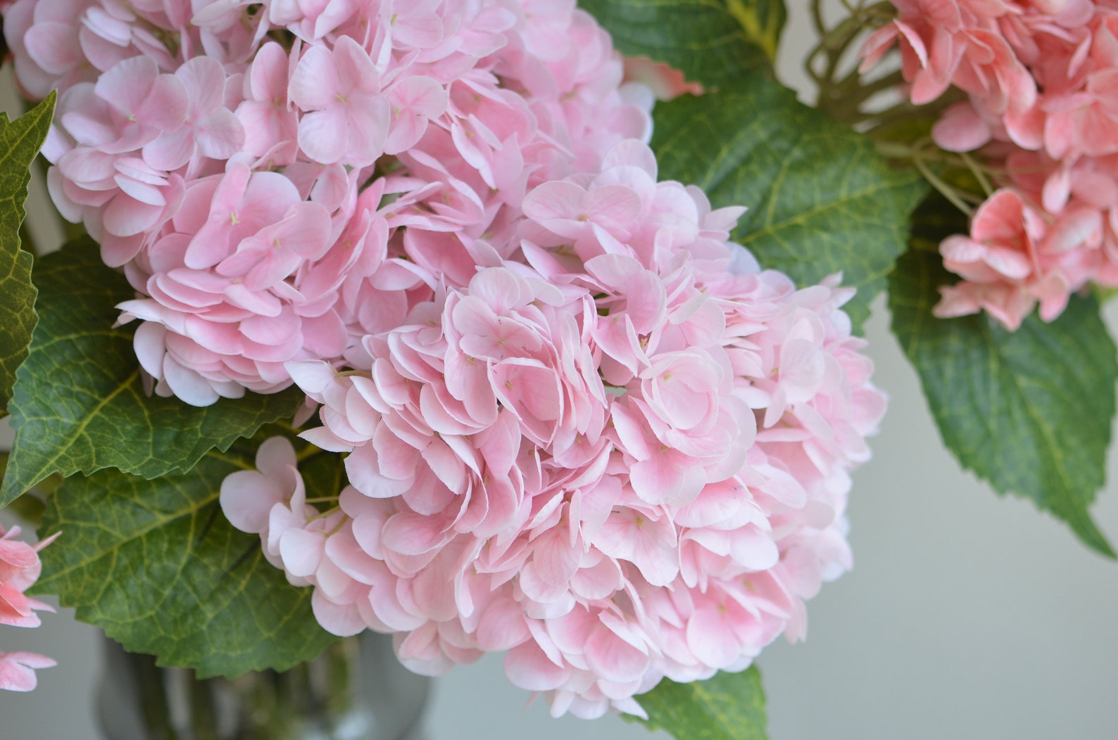 20" Real Touch Hydrangea Stem-light Pink/coral Pink , Luxry Realistic ...