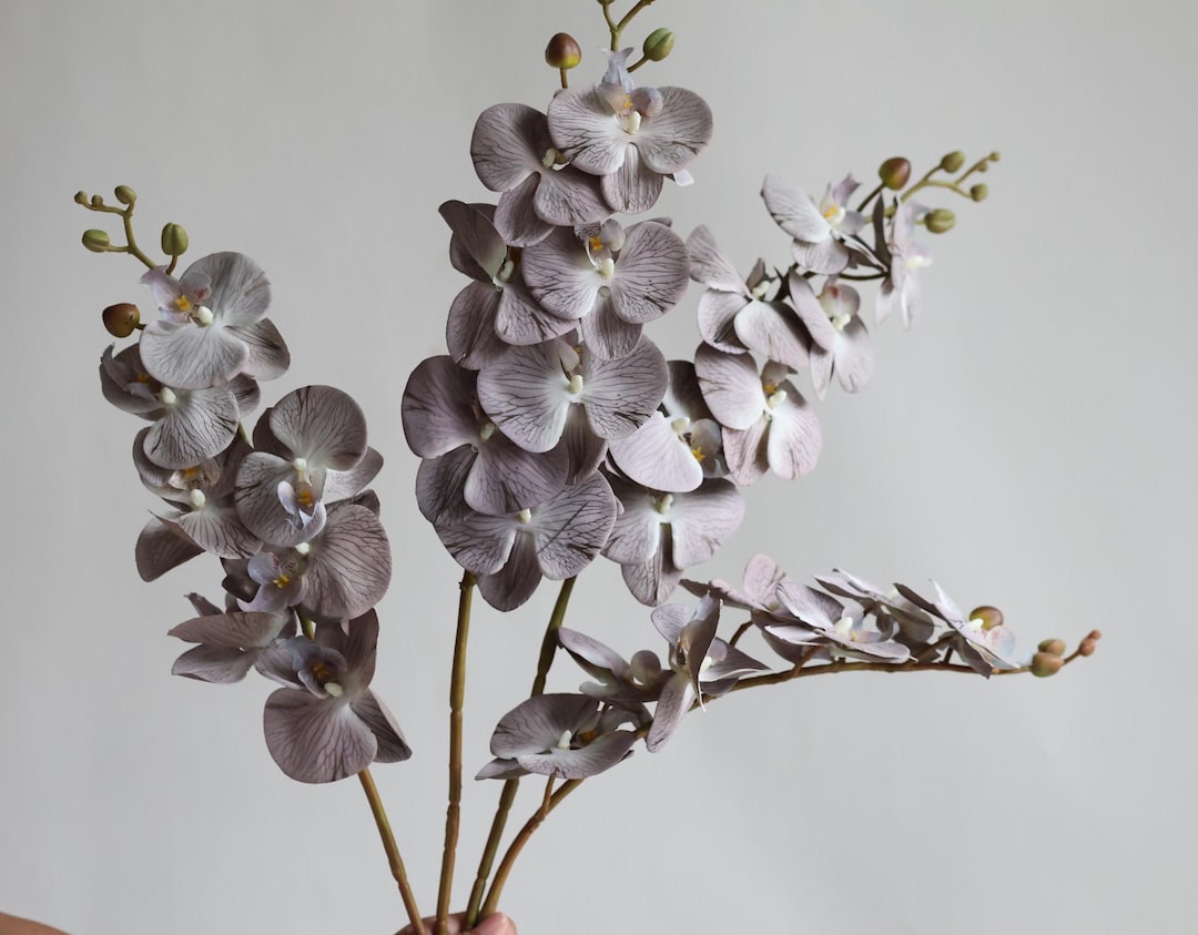 35" Fake Orchids in Light Gray, Artificial Phalaenopsis Orchids Stem ...