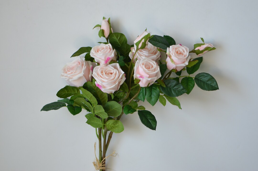 Pale Blush Pink Roses, White Real Touch Roses, Old English Garden Roses ...
