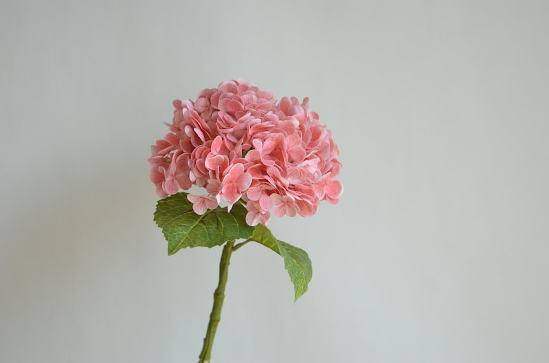 20" Real Touch Hydrangea Stem-light Pink/coral Pink , Luxry Realistic ...