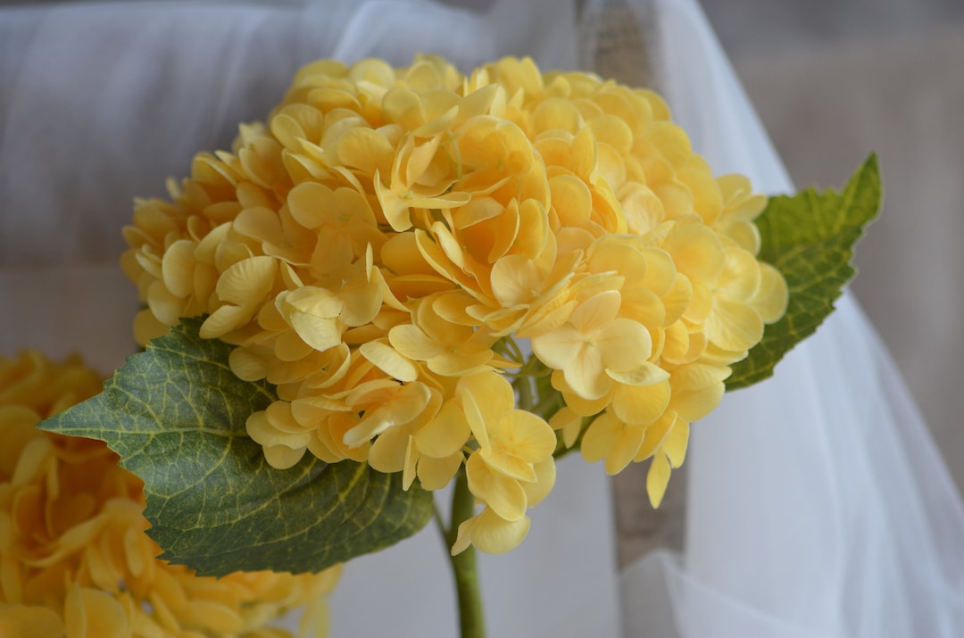 20" Real Touch Huge Yellow Hydrangea Stem, Luxry Realistic Artificial ...