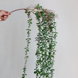 Artificial Hanging Plants Deco, Fake String of Pearls Succulent ...