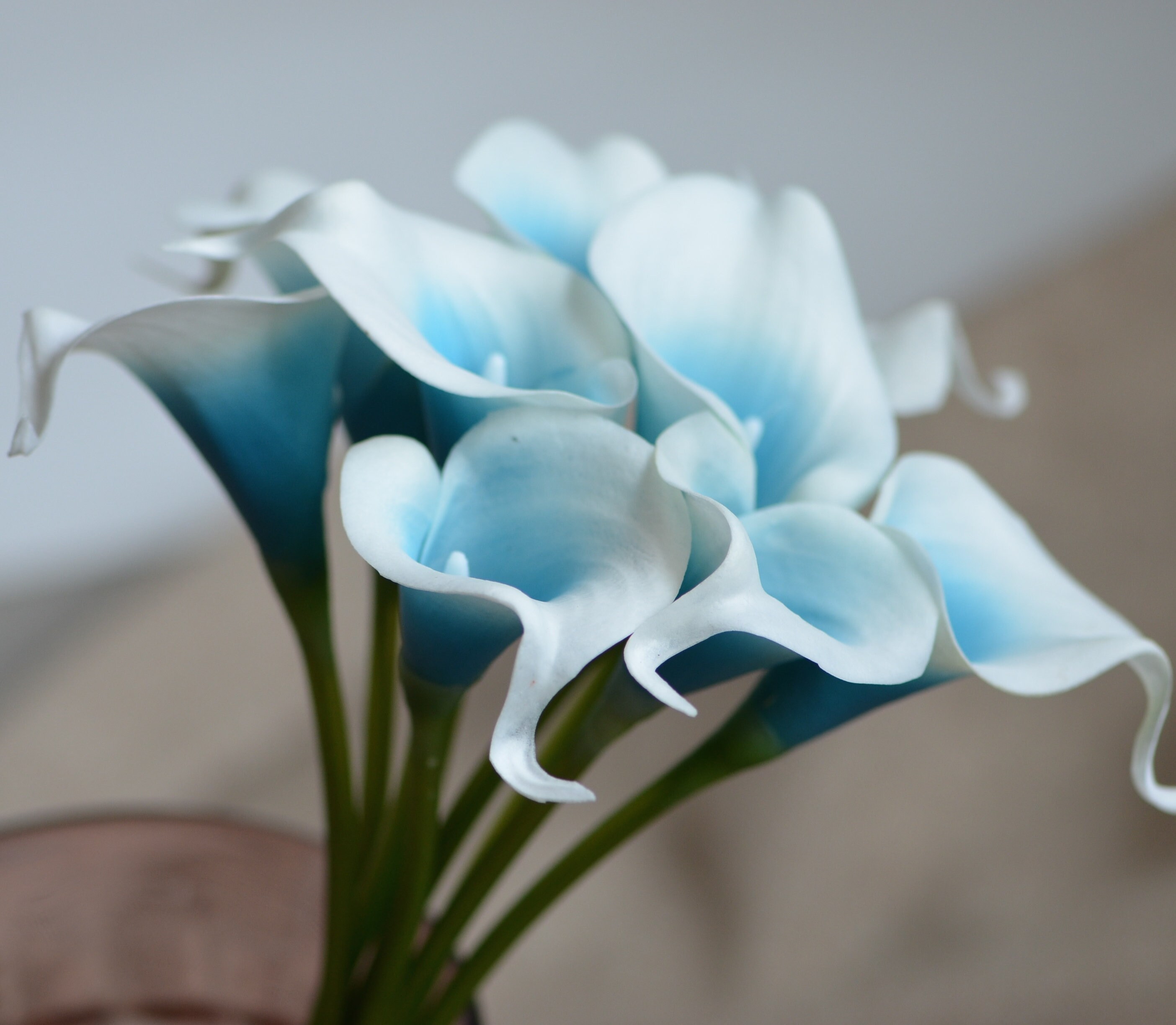 9 Malibu Picasso Calla Lily Blue Real Touch Calla Lilies DIY Wedding ...