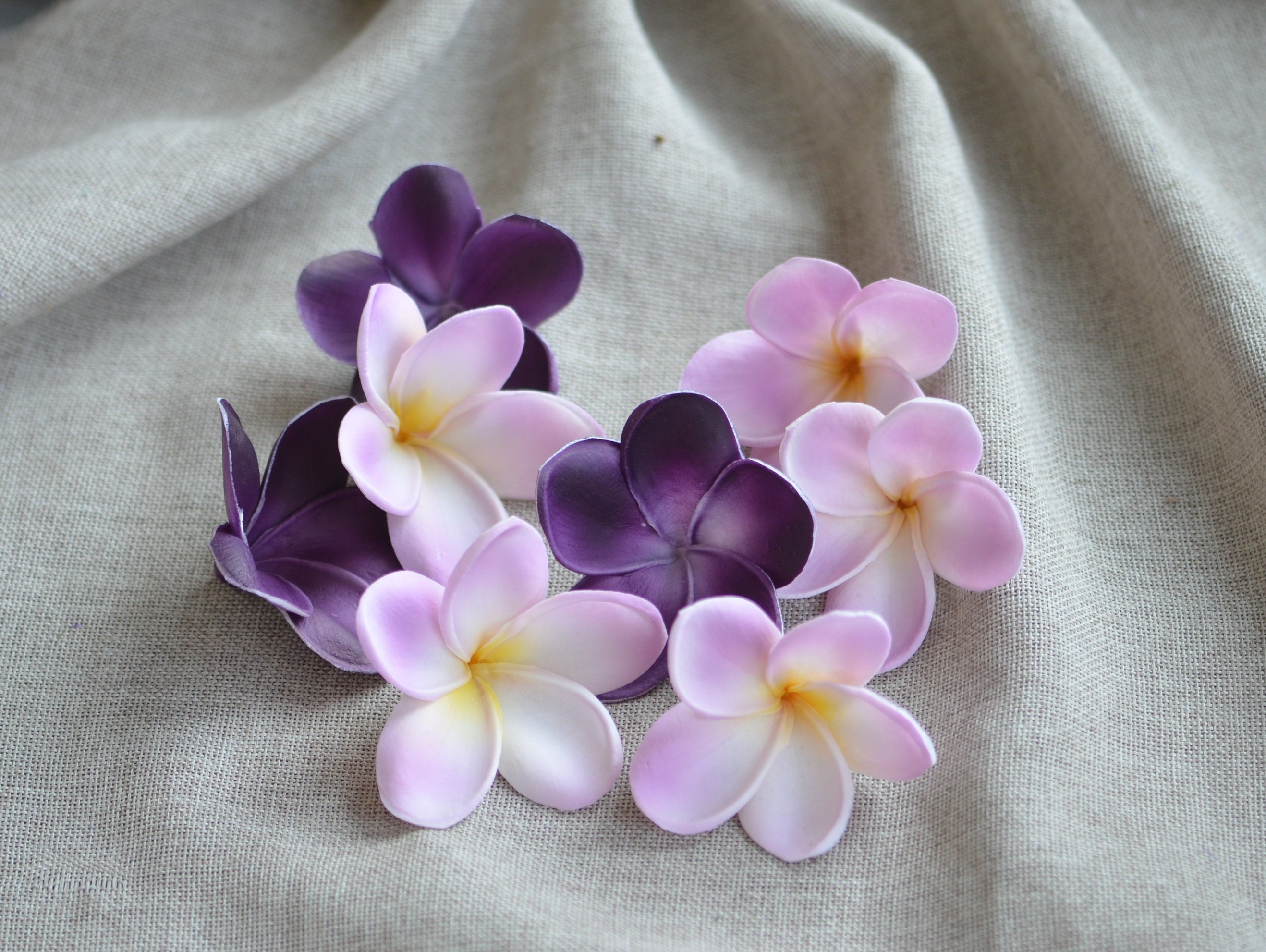Purple Plumeria