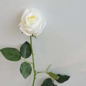 25" Real Touch Cream Ivory Roses, Half Opened Faux Roses, High Quality ...