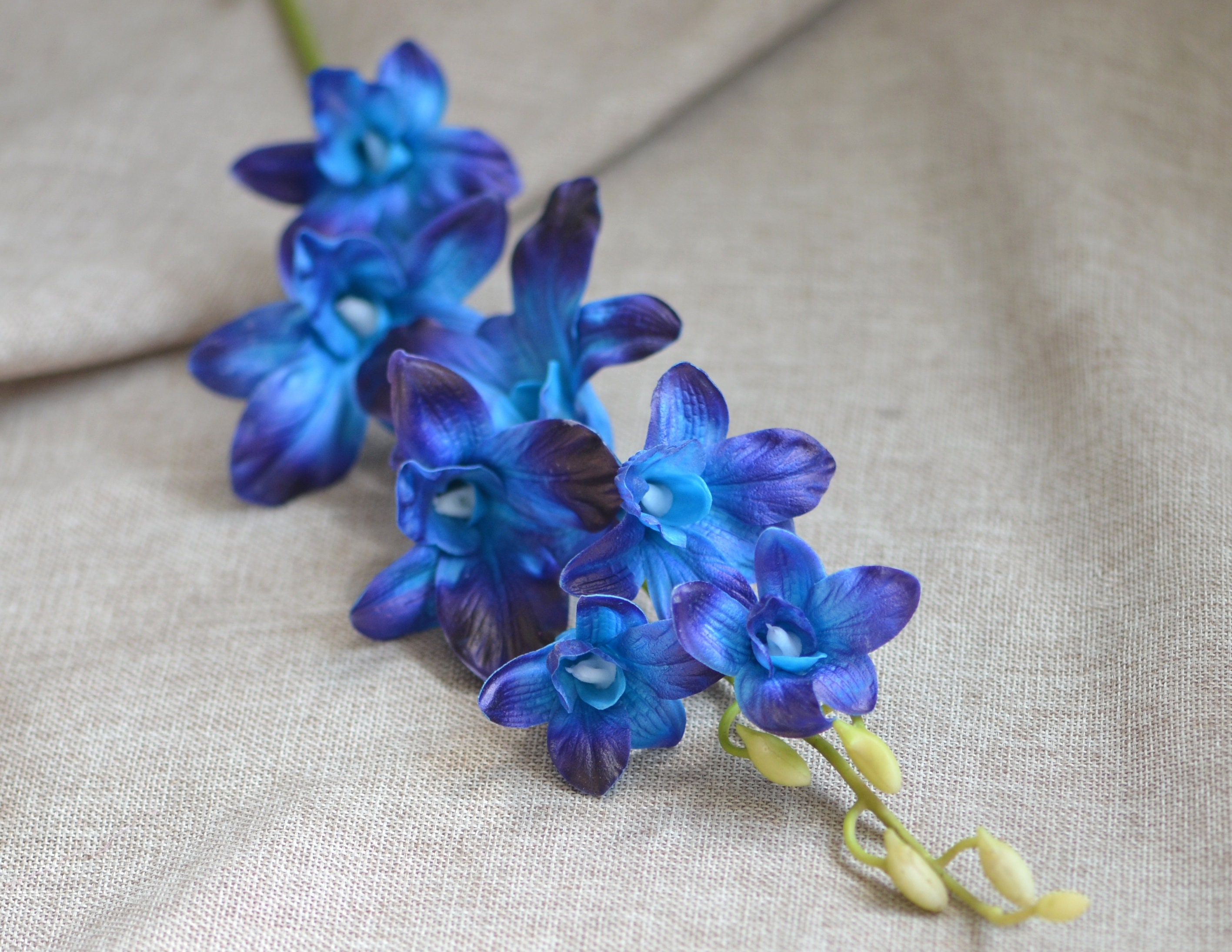 Dark Turquoise Purple Orchids Real Touch Thailand Orchids DIY | Etsy