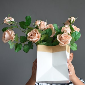 Rose rosa caffè Morandi, rosa azzurra Real Touch, rose rosa polveroso ...