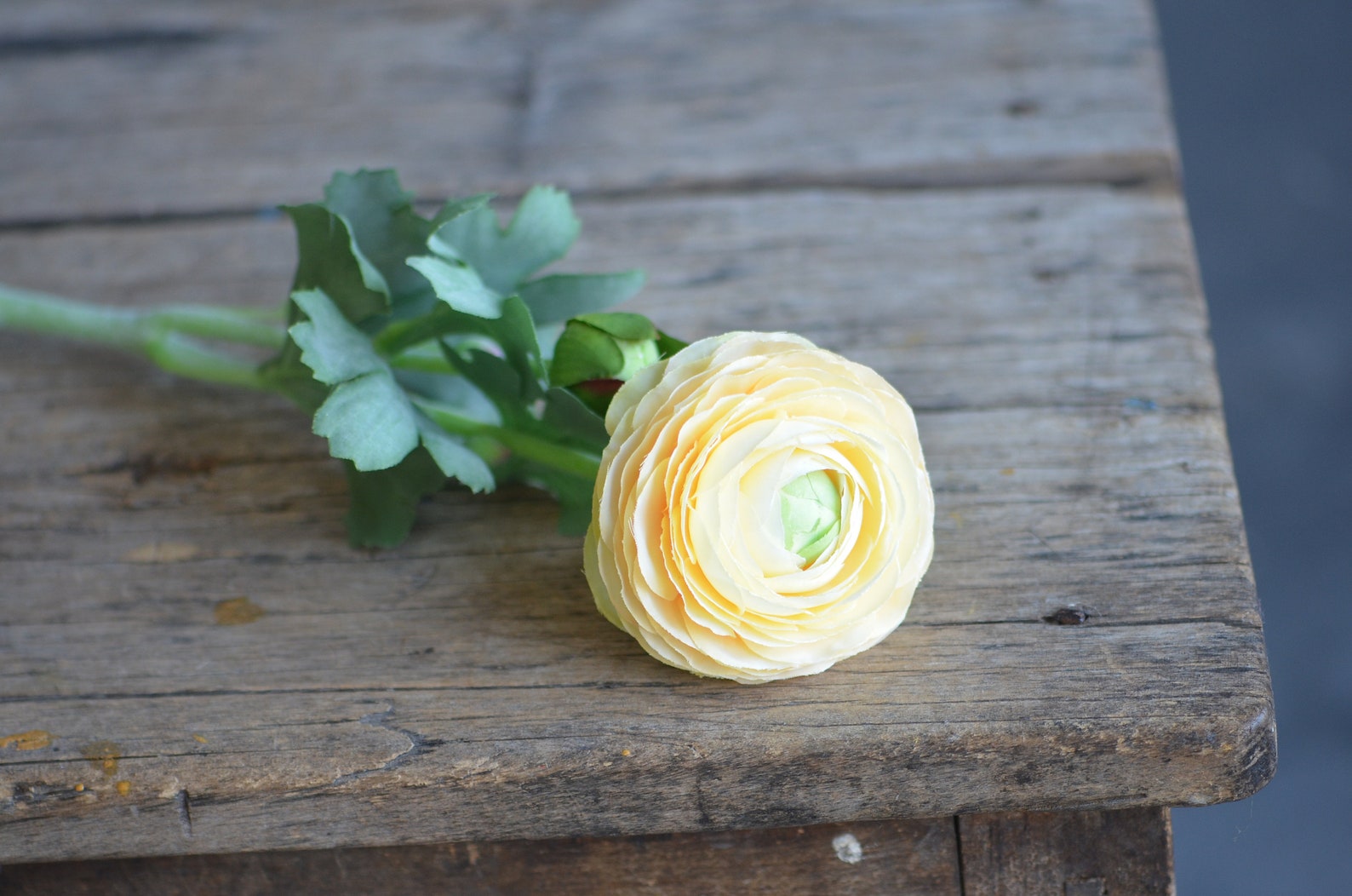 19 Artificial Ranunculus Soft Ranunculus Orange Pink - Etsy