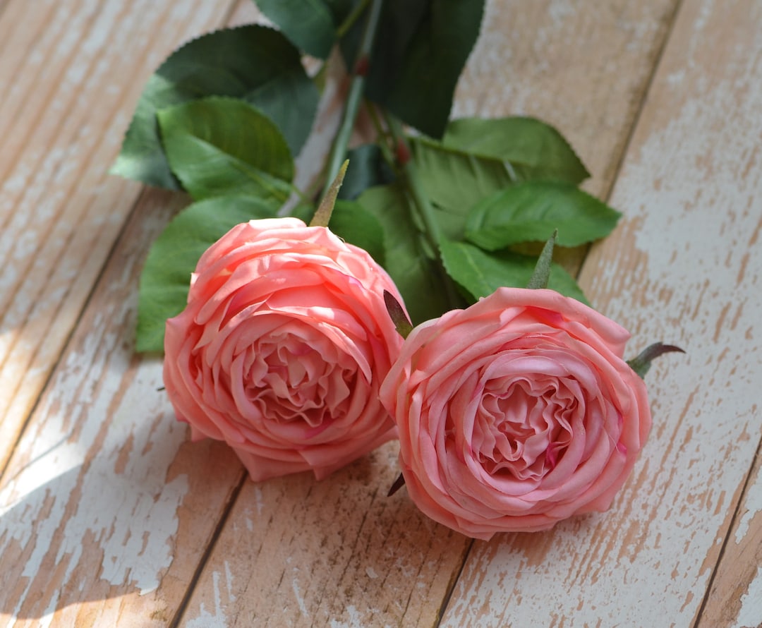 Pink Coral Cabbage Roses Old English Roses Real Touch Silk Roses DIY ...