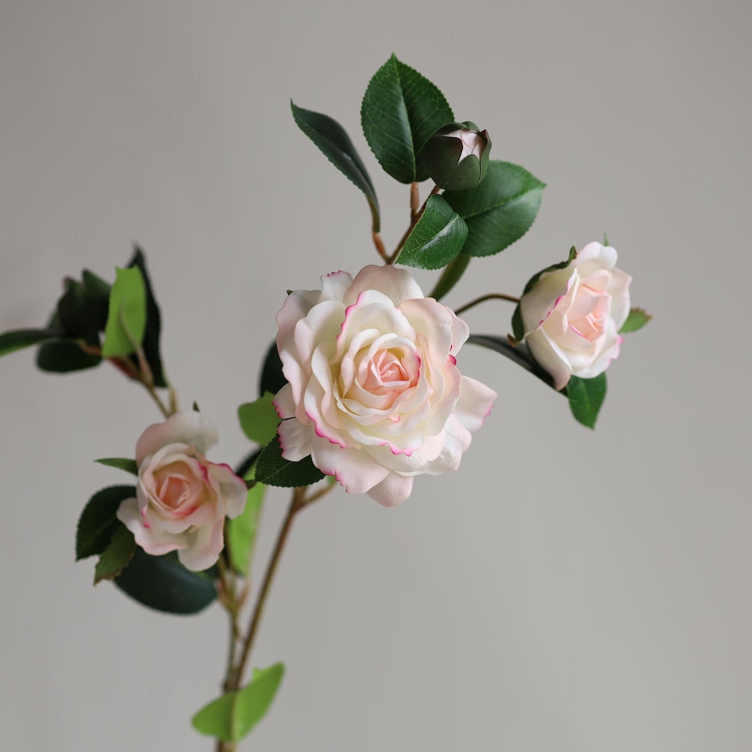 28" Artificial Bream Blush Camellias Flowers Branch, Real Touch Flower ...