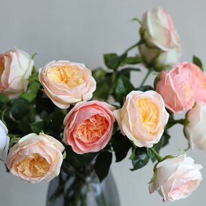 18.9” Faux Real Touch English Cabbage Roses-white/champagne/pink ...