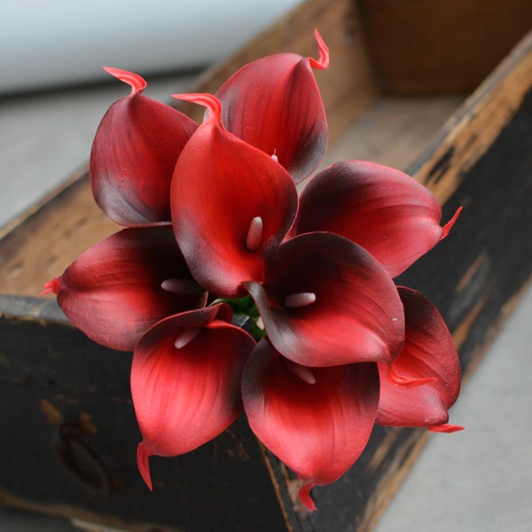 Red Calla Lily - Etsy