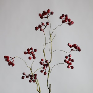 29" Faux Cranberry Branch, Decorative Cranberry Stem, Minimalist Style ...