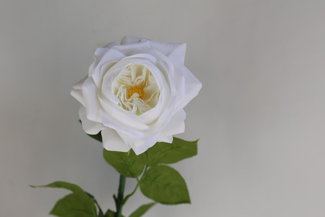 26.3" Faux Real Touch White Cabbage Roses, Artificial Garden Rose, DIY ...
