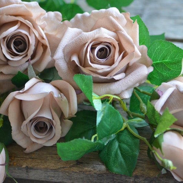 Tan Roses - Etsy
